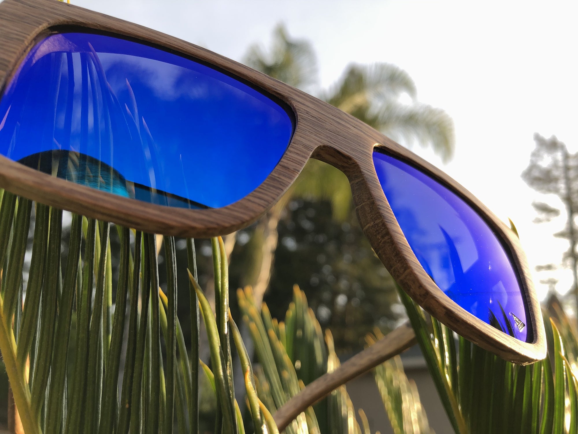 Flow Vision Section™ Sunglasses: Blue – FlowVision AU